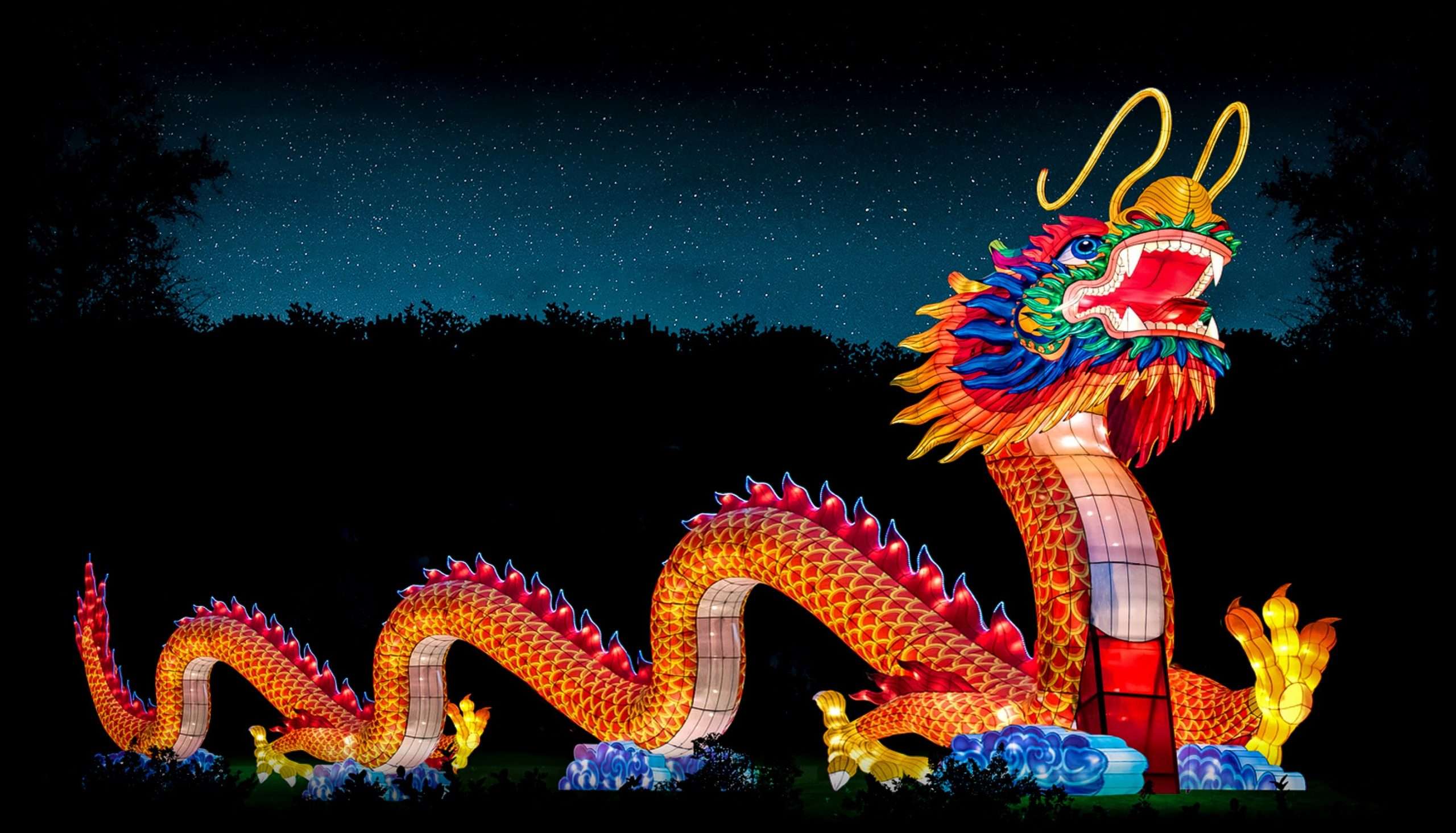 Glowing Wild at Redding: Northern California's Best Spring Getaway