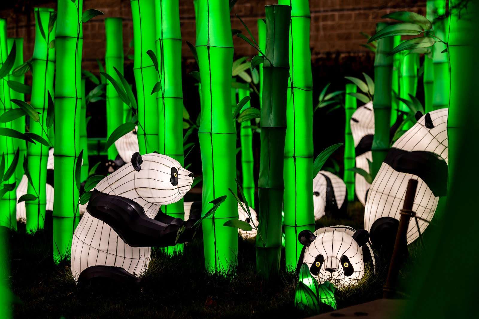 Glowing Wild at Redding: Northern California's Best Spring Getaway